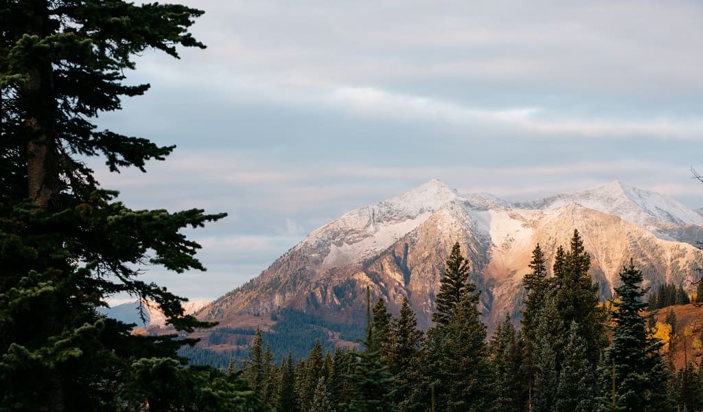 Yuanyuan Song | yysong18@mit.edu